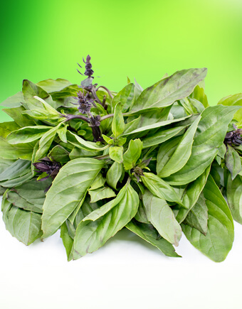 Basil - Lam's Seafood