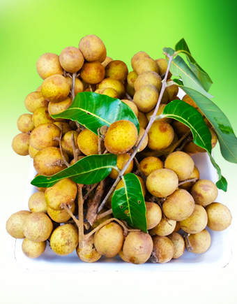 Longan - Lam's Seafood