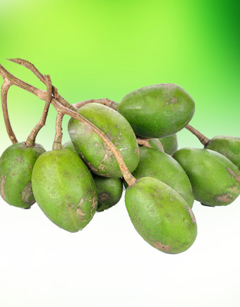 Makok - Lam's Seafood