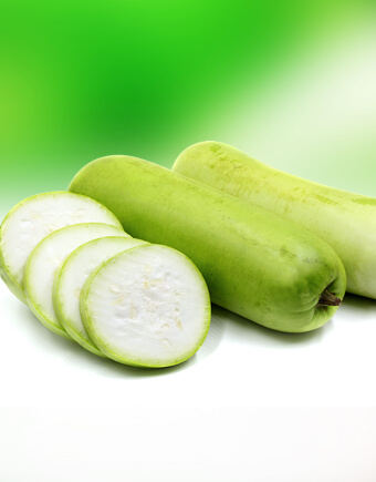 Opo Squash - Lam's Seafood