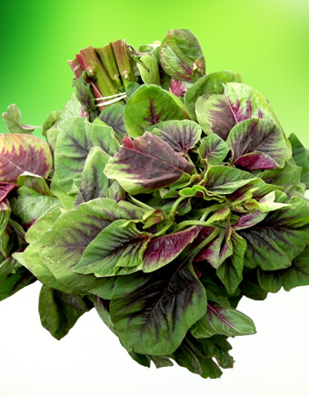 Rau Den - Lam's Seafood