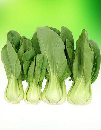 Shanghai Bok Choy - Lam's Seafood