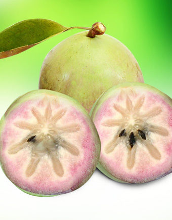 Star Apple - Lam's Seafood