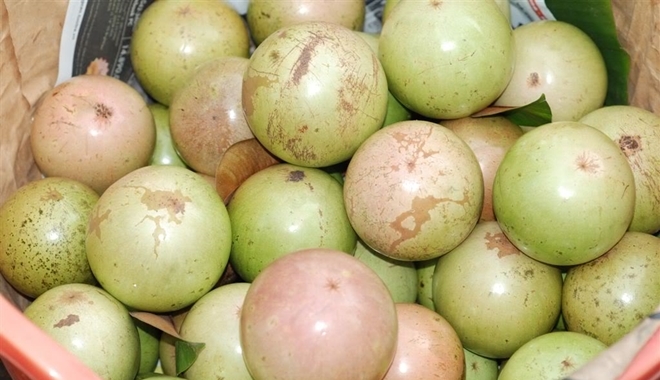 Vietnam-grown star apples head for US - Lam's Seafood