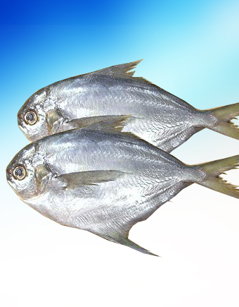 Butter Fish - Lam's Seafood