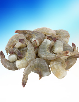 Fresh White Headless Shrimp - Lam's Seafood