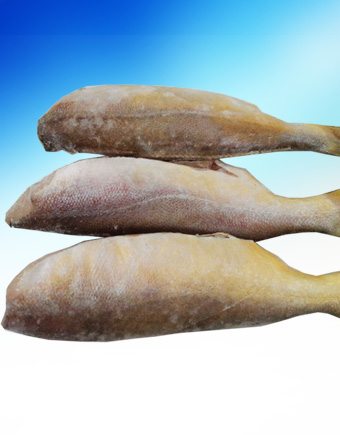 Frozen King Weak Fish - Lam's Seafood