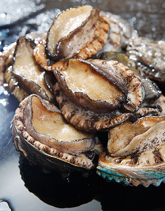 Live Abalone - Lam's Seafood